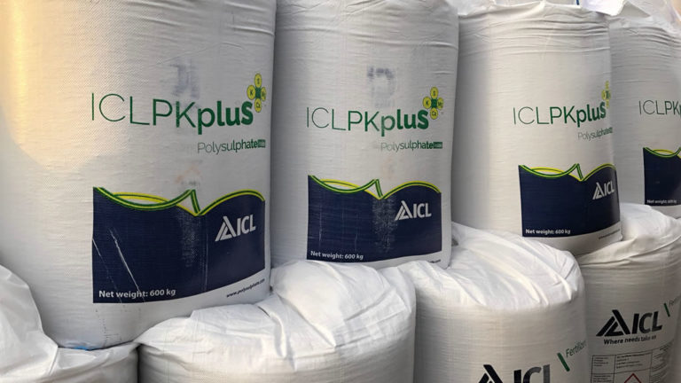 ICL Fertilizers Europe CV - Amports